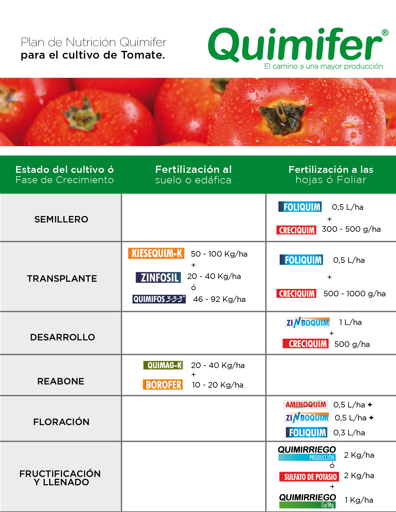Temperatura Para El Cultivo De Hortalizas Guía Imprescindible Del