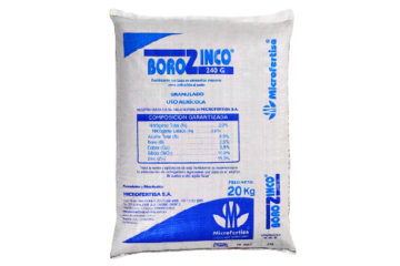 BOROZINCO 240 GR® – Microfertisa
